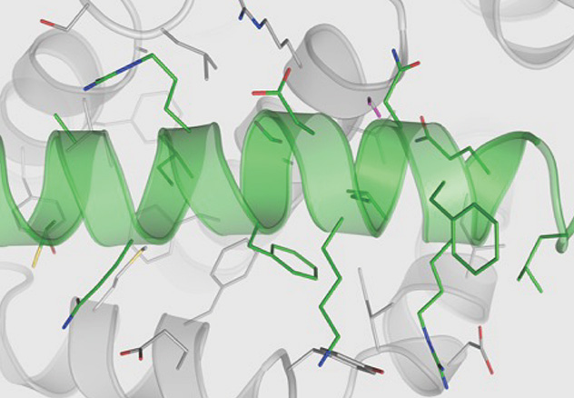 Overview - Anticancer Drug Action Laboratory - Mayo Clinic Research