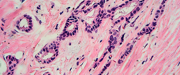 Overview - Histology Core - Mayo Clinic Research