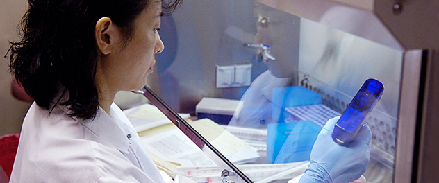 Overview - Vascular Biology Laboratory - Mayo Clinic Research