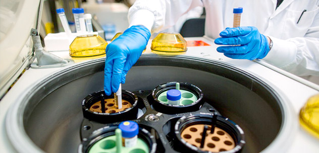 Mayo Clinic Biobank Mayo Clinic Bioservices Mayo Clinic Research