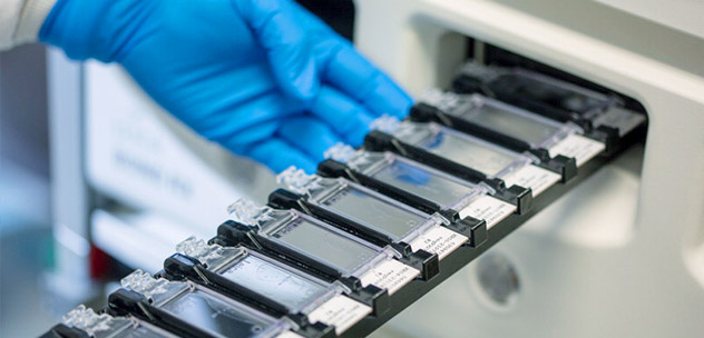 Laboratory Services - Mayo Clinic Bioservices - Mayo Clinic Research Core Facilities