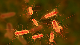 Bloodstream Infections From Gut Resident Bacteria - Mayo Clinic Research