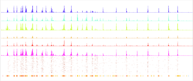 Overview - Functional Epigenomics Lab - Mayo Clinic Research