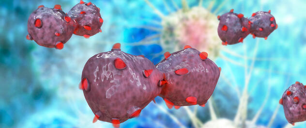 Overview - Molecular Mechanisms of Tumorigenesis: Verline Justilien ...