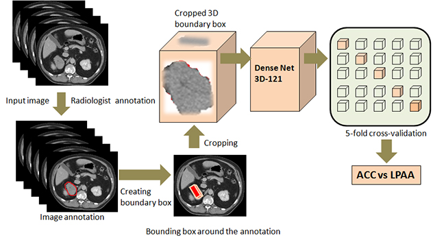 Clinically Focused Projects - Radiology Informatics: Bradley J. Erickson - Mayo Clinic Research