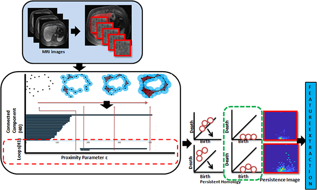 Clinically Focused Projects - Radiology Informatics: Bradley J. Erickson - Mayo Clinic Research