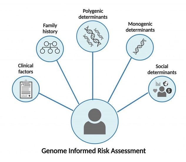 Factors Assessed - eMERGE Genome Informed Risk Assessment - Mayo Clinic ...