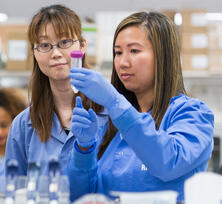 Research at Mayo Clinic - Mayo Clinic Research