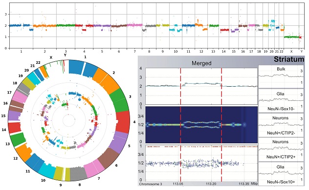 Research - Somatic Mutations in Development and Aging: Alexej Abyzov ...